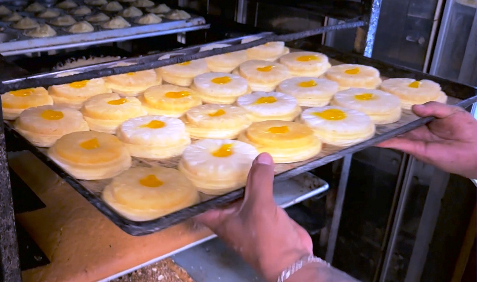 A través de una Exposición, el Gobierno de Guanajuato impulsa la ...